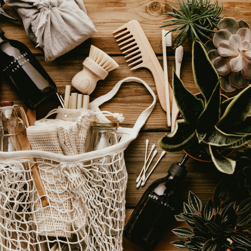 Let's Go Eco Box & Shop | Eco-Trends from Sustainable Small Business ...